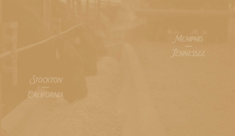 Hall of Fame | Cattle Feeders Hall of Fame