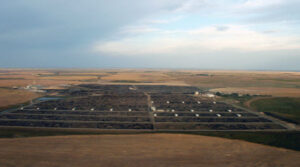 Hall of Fame | Cattle Feeders Hall of Fame