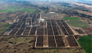 Hall of Fame | Cattle Feeders Hall of Fame