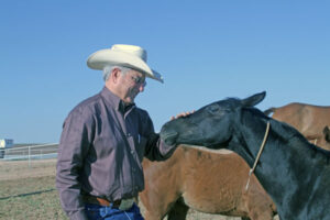 Hall of Fame | Cattle Feeders Hall of Fame