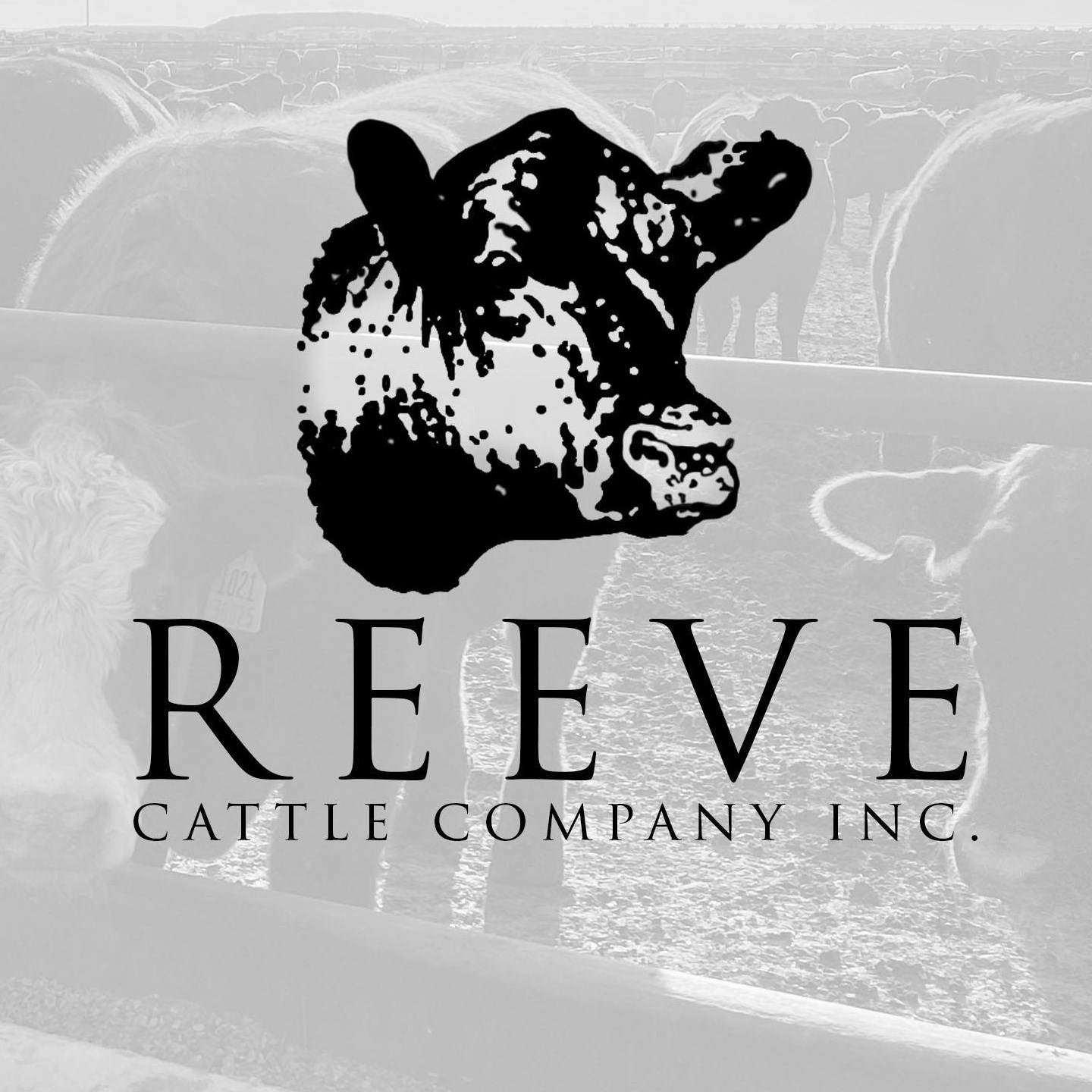 Jack Reeve | Cattle Feeders Hall of Fame