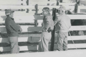 Hall of Fame | Cattle Feeders Hall of Fame